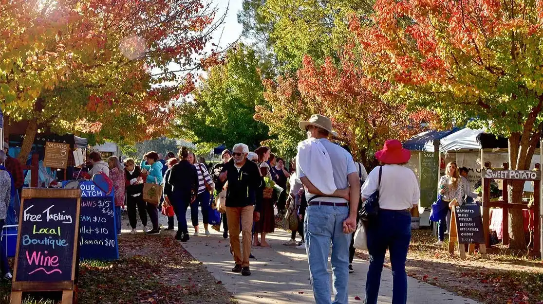 About Southern Phone | Southern Phone